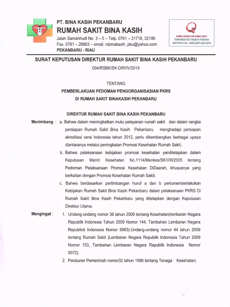 SK Pemberlakuan Pedoman Pengorganisasian PKRS | PDF