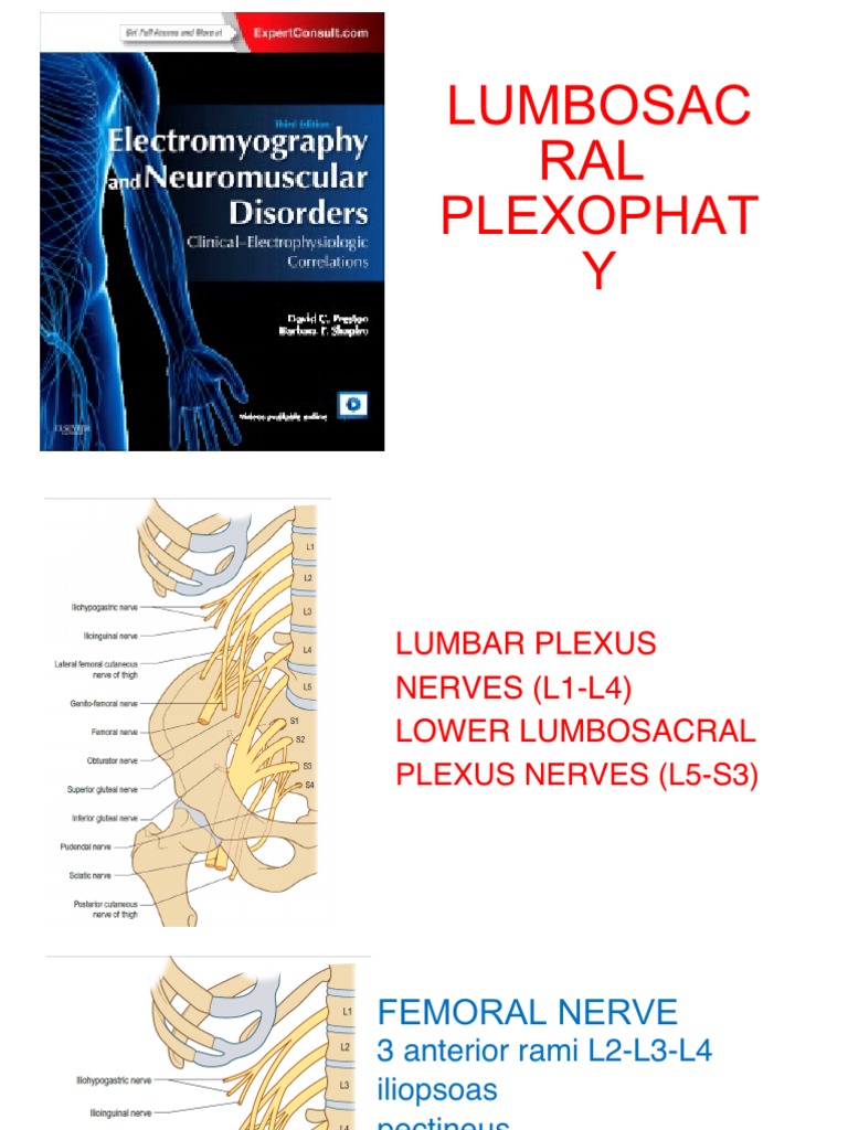 Lumbosacral Plexopathy Pdf