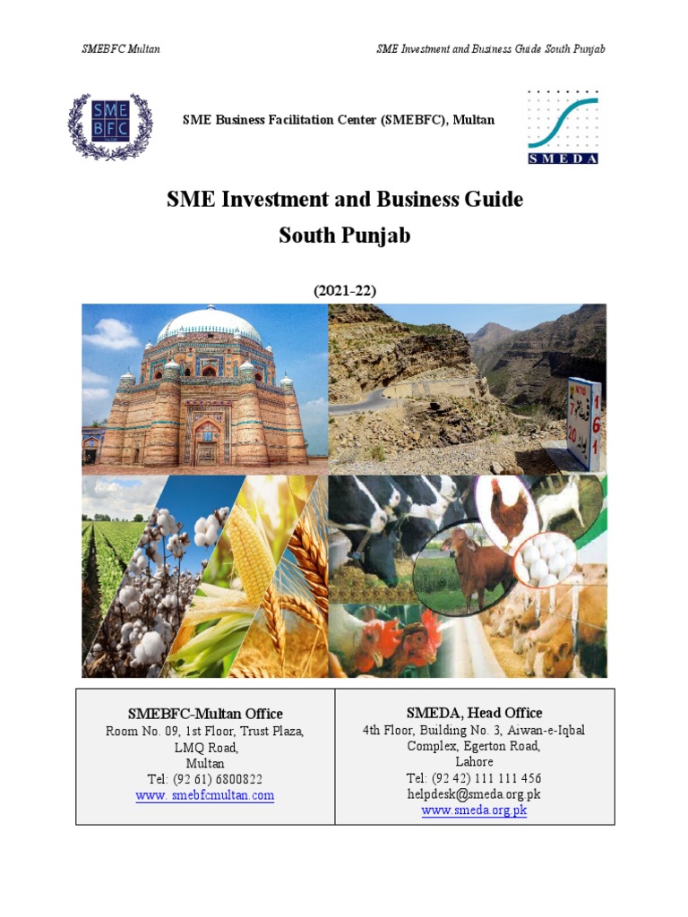 SME Investment Business Guide - South Punjab 2021-22 | PDF ...