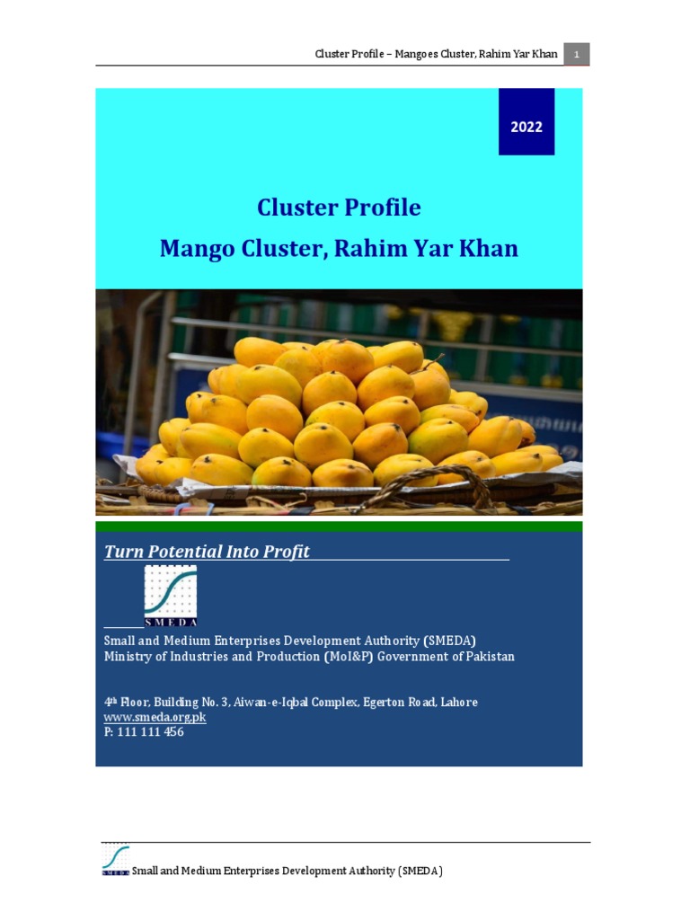 Mango Cluster - Rahim Yar Khan 2022 | PDF | Mango | Agriculture