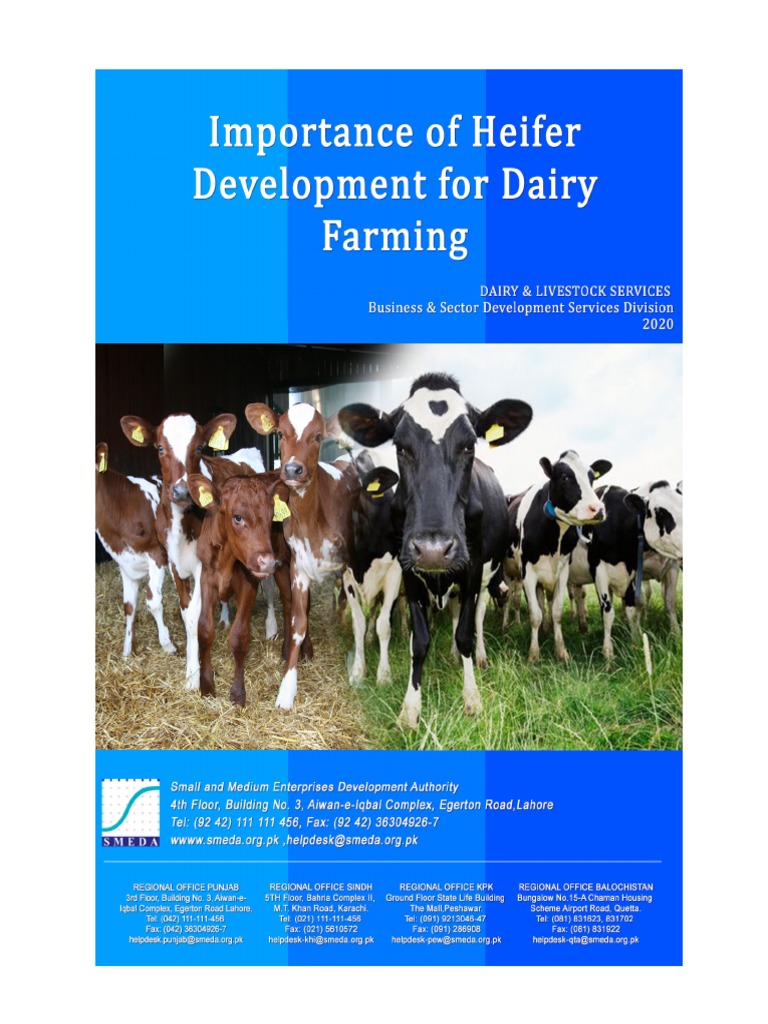 Importance Of Heifer Development For Dairy Farming Pdf Cattle