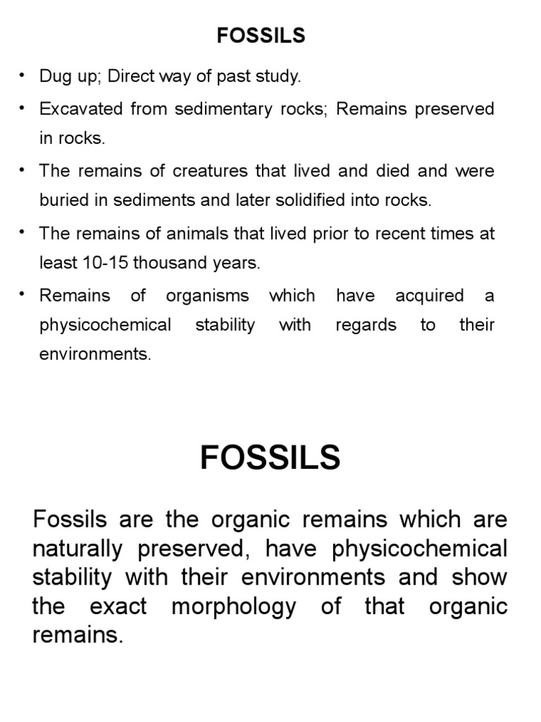 Understanding Fossils and Fossilization | PDF | Fossil | Sedimentary Rock