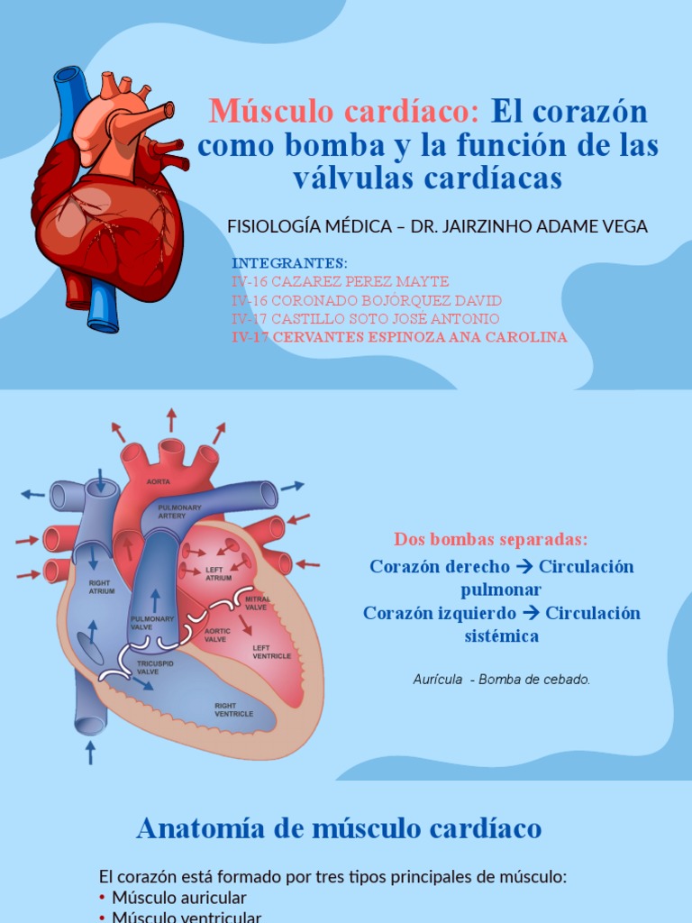 Capítulo 9. El Corazón Como Bomba | PDF | Corazón | Ventrículo (corazón)