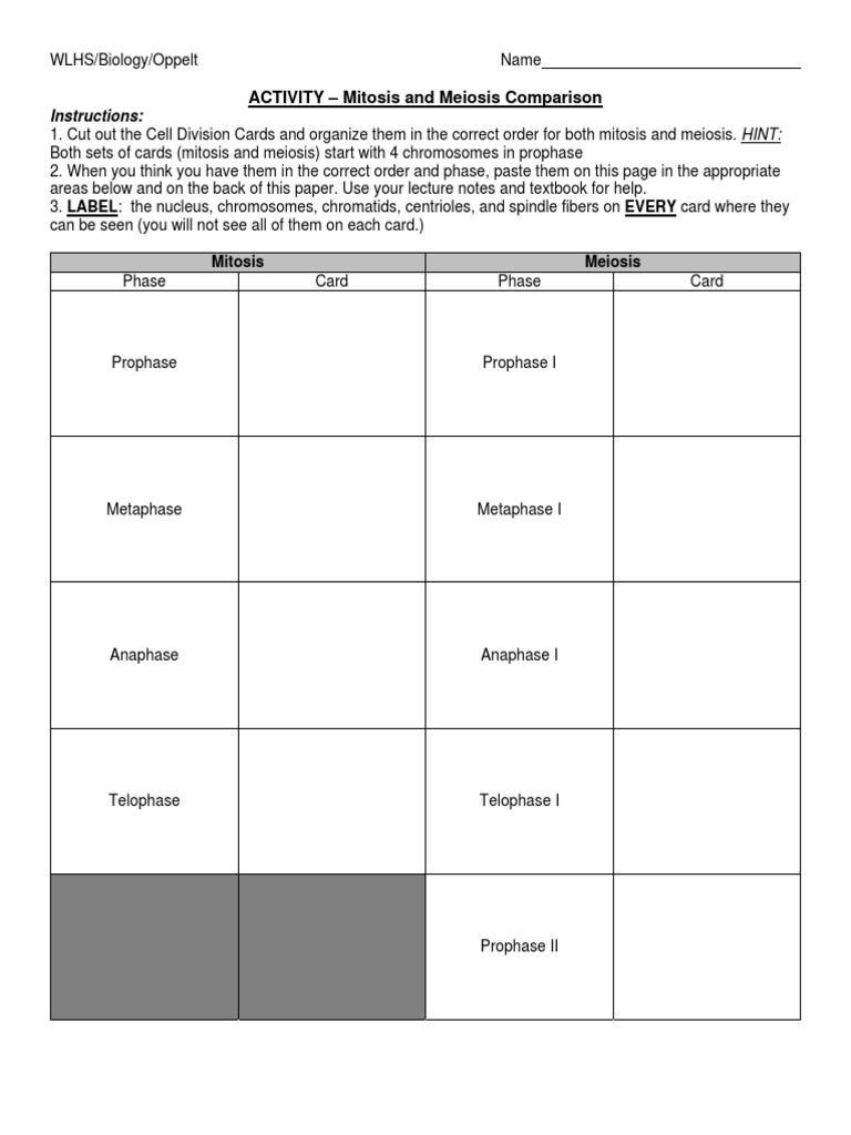 Mitosis and Meiosis Comparison Activity | PDF | Science & Mathematics