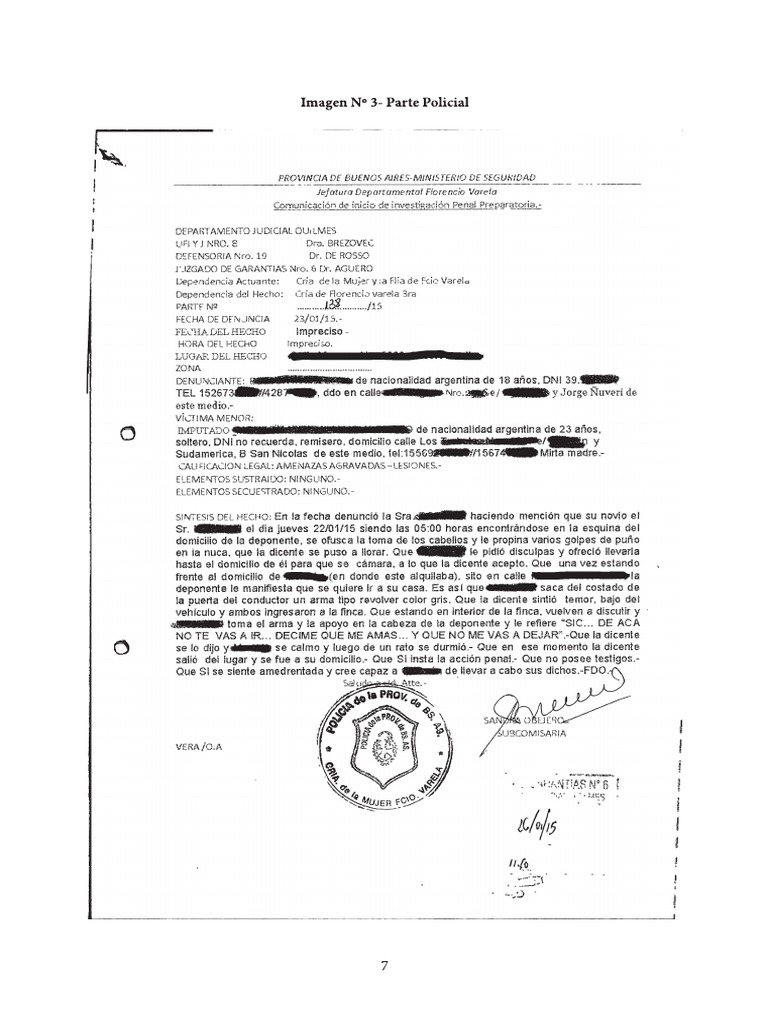 Denuncia Violencia Familiar Modelo Pdf