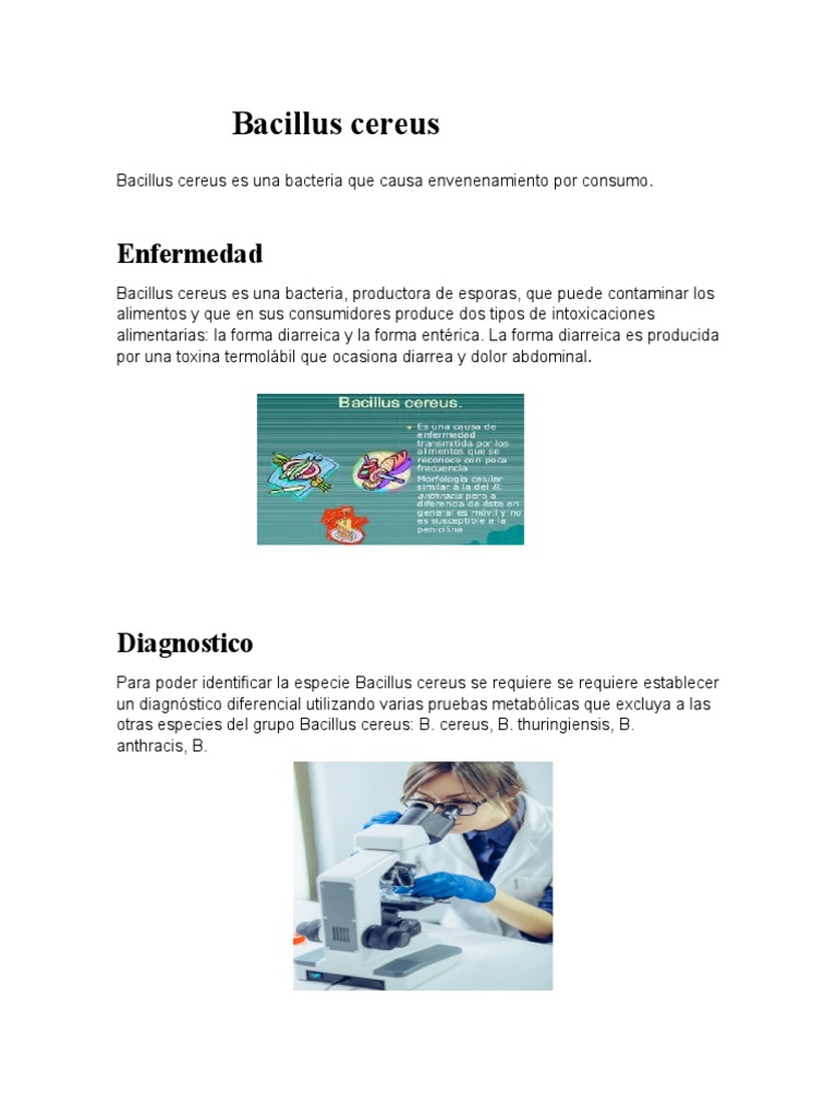 Bacillus Cereus | PDF | Bacilo | Diarrea