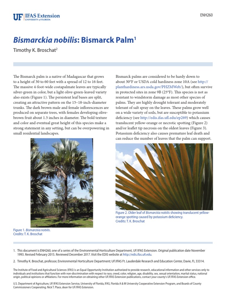 ST10100 | PDF