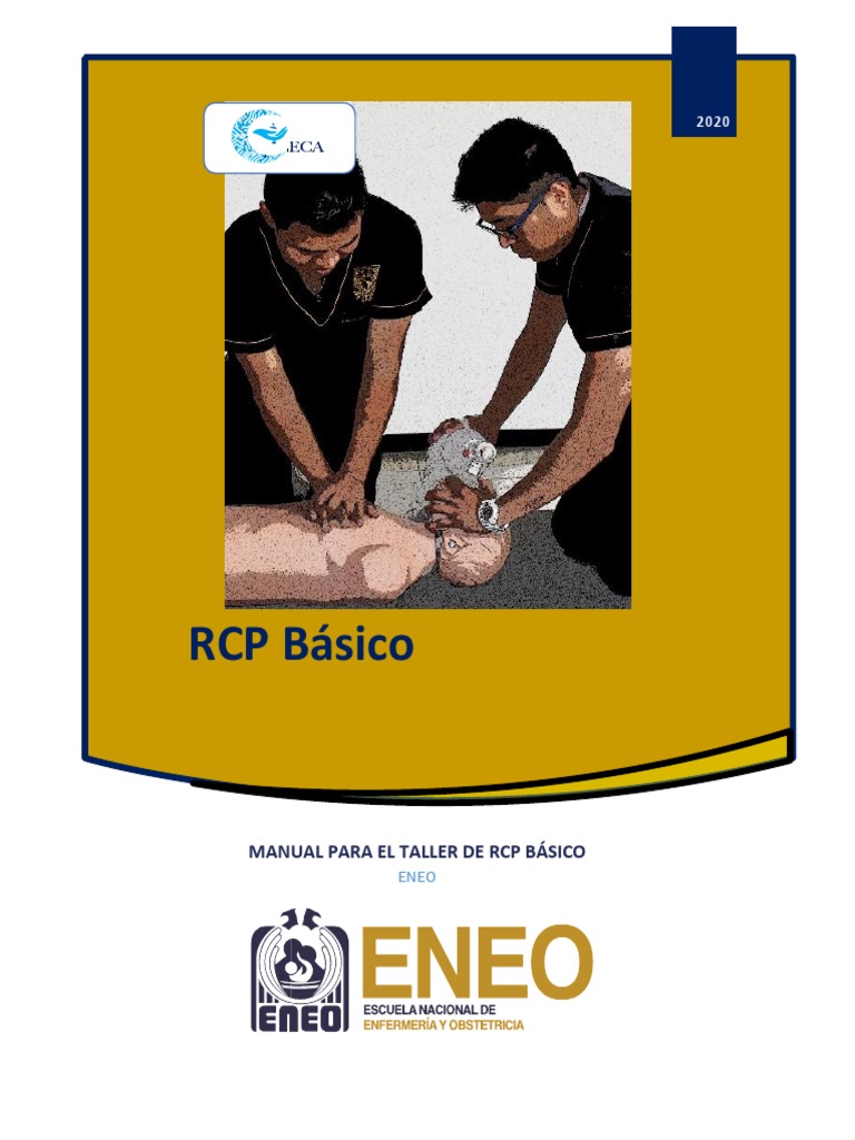 Manual RCP Basico | PDF | Reanimación cardiopulmonar | Paro cardíaco