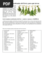 Informe 100 Plantas Medicinales Selva Peruana | PDF