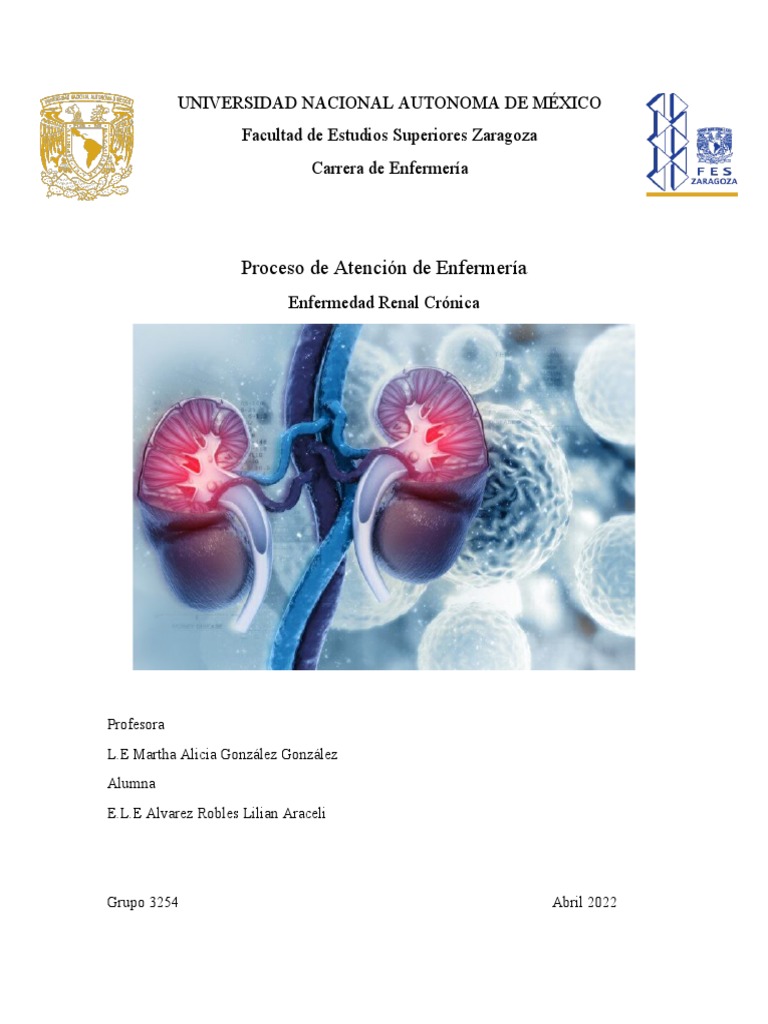 Pae Erc Oficial | PDF | Enfermedad renal crónica | Hipertensión