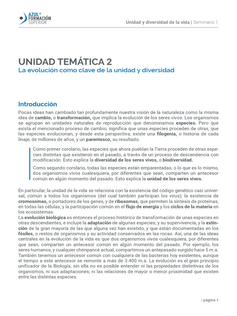 Unidad Tematica 2 Bio | PDF | Mutación | Alelo