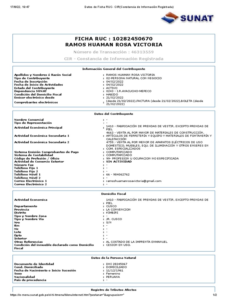 Ficha Ruc Rosa Ramos | PDF