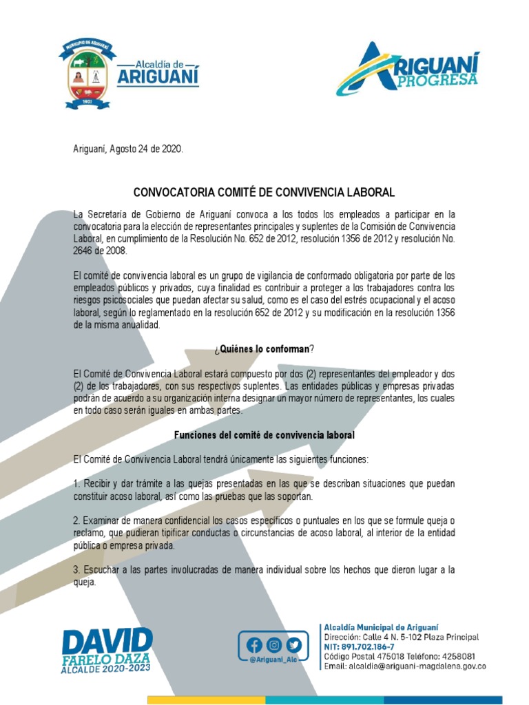 Convocatoria de Comite de Convivencia Laboral | PDF | Gobierno