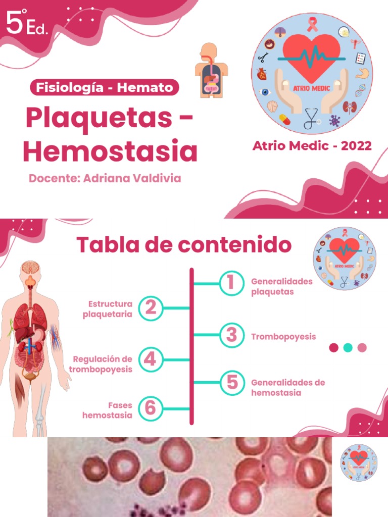 Plaquetas y Hemostasia | PDF | Plaqueta | Coagulación