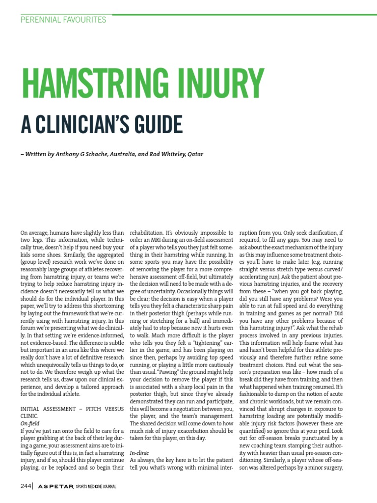 Hamstring Injury: A Clinician'S Guide | PDF | Physical Therapy | Running