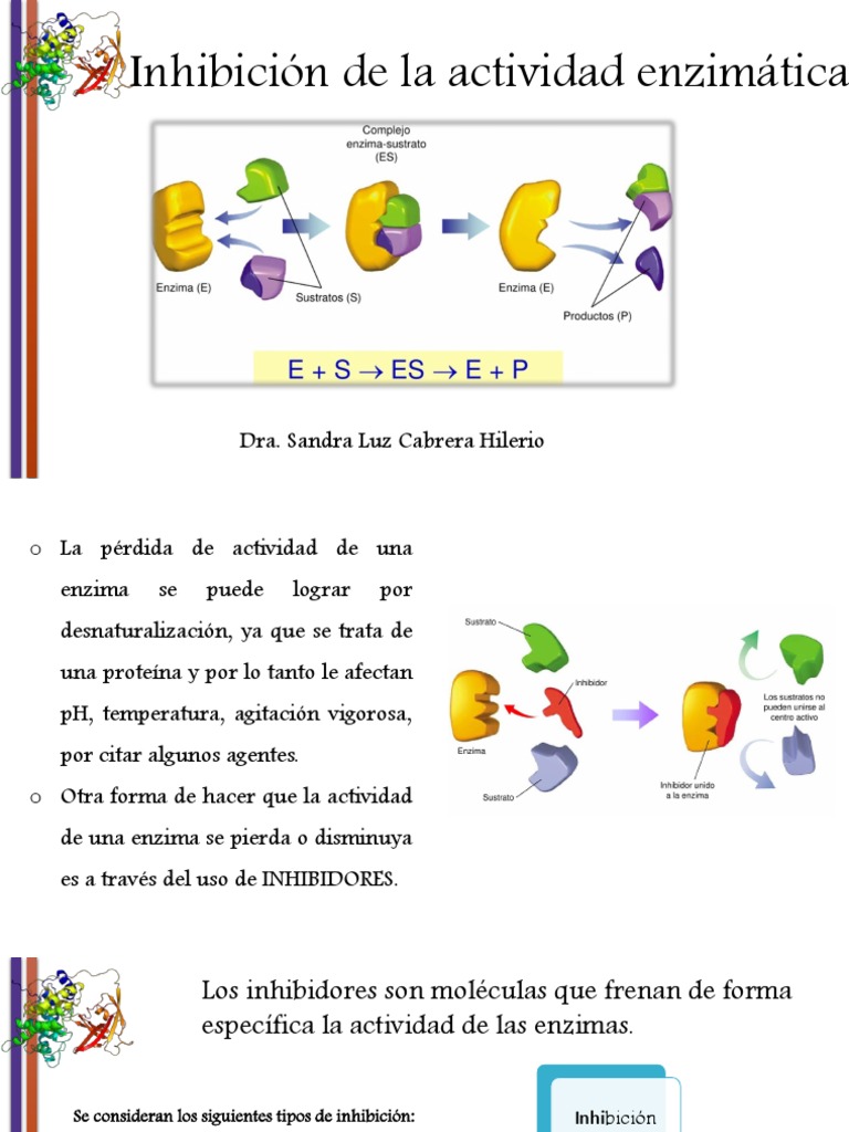 05-3 Inhibicion Enzimatica | PDF | Inhibidor de la enzima | Enzima