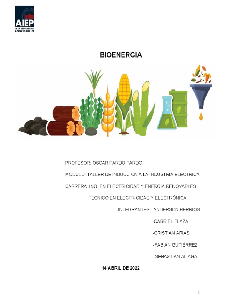 Informe Biomasa | PDF | Biomasa | Gasificación
