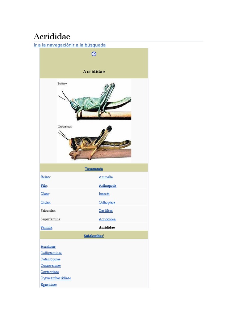 Acrididae | PDF | Insectos