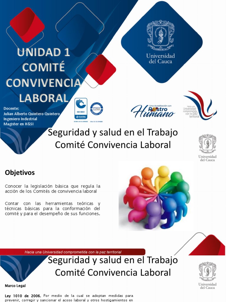 Comite Convivencia Laboral | PDF | Comportamiento