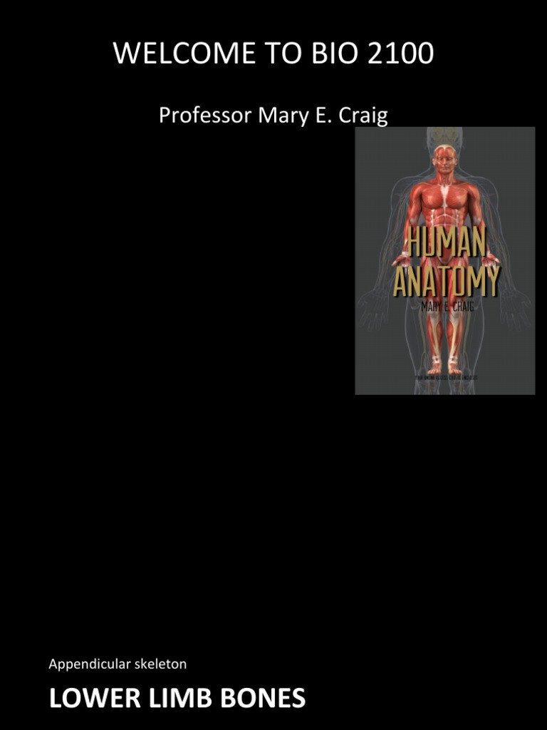 Biology Human Anatomy Study Guide PDF Foot Pelvis
