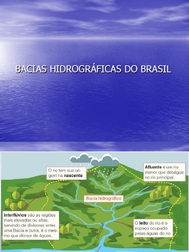 Bacias Hidrográficas Do Brasil | PDF | Topografia | Ambiente