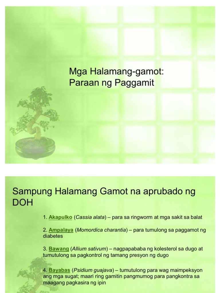Halamang Gamot | PDF