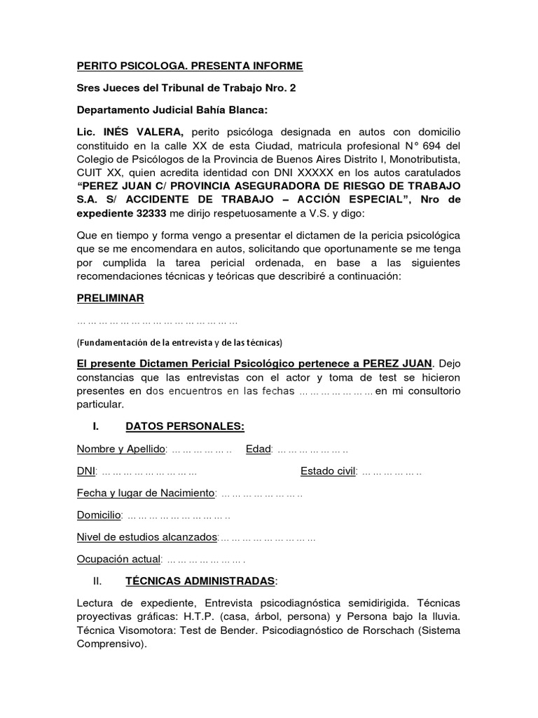 Modelo de Informe Pericial. 2 | PDF | Testigo experto