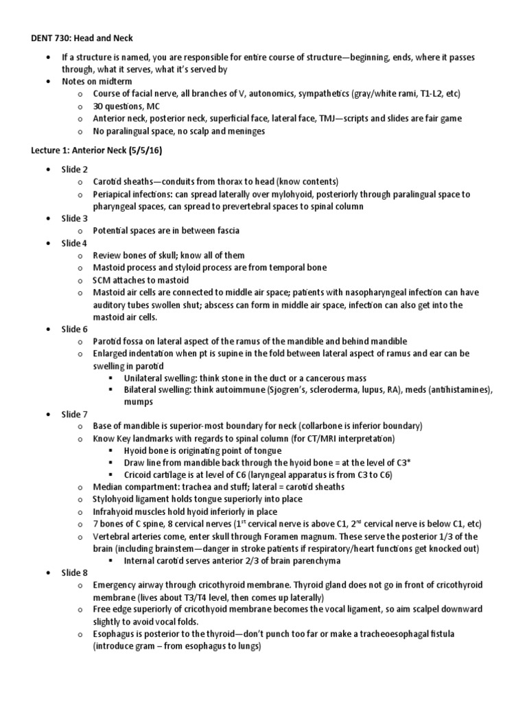 Dent 730 | PDF | Common Carotid Artery | Neck