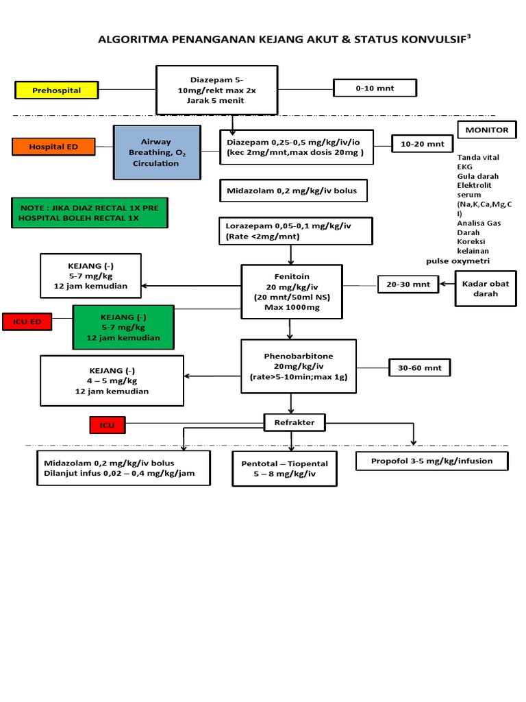 Algoritma Penanganan Kejang Akut | PDF | Medicinal Chemistry ...