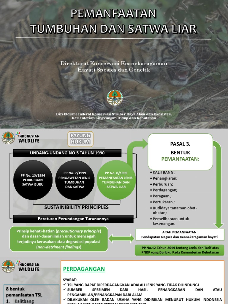 Sesi 2 - KKHGS - 25.08.22 - Paparan Regulasi Pemanfaatan TSL - 1 | PDF