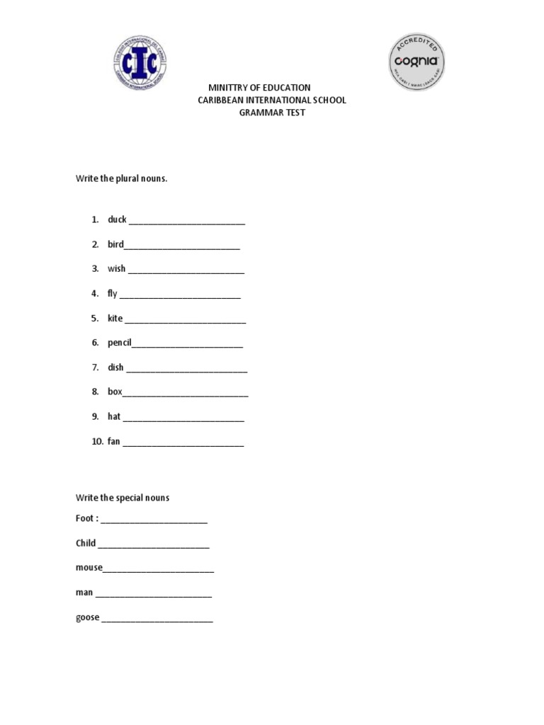 Singular and Plural Nouns Summative | PDF | Teaching Methods & Materials