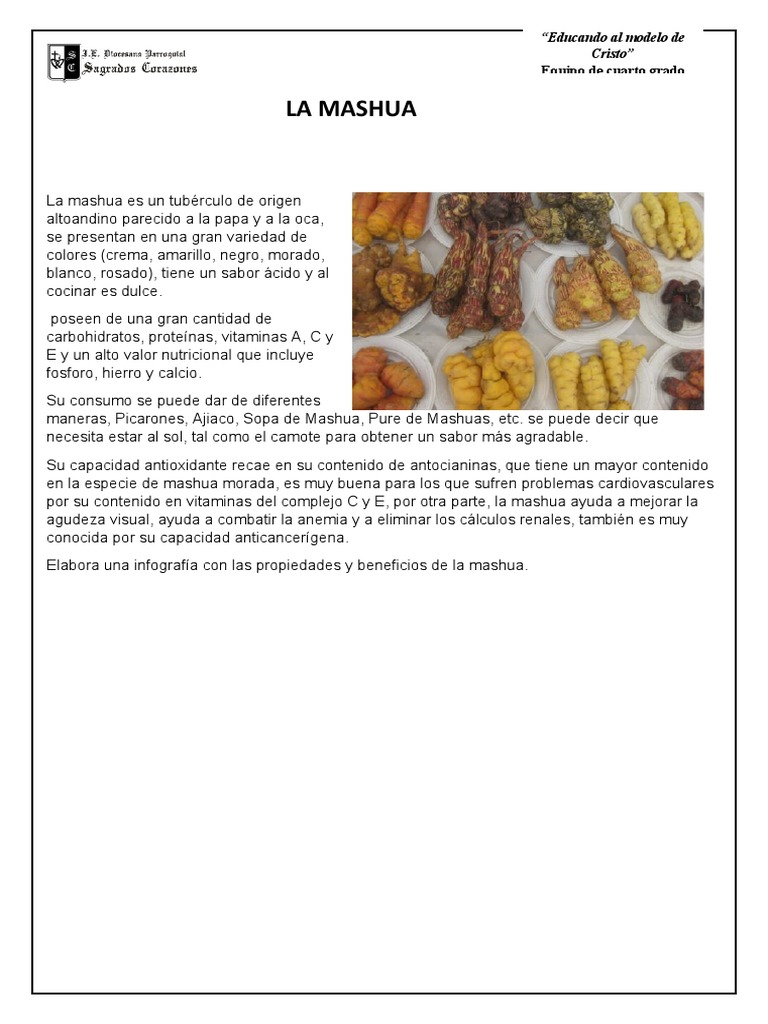 La Mashua Infografía | PDF