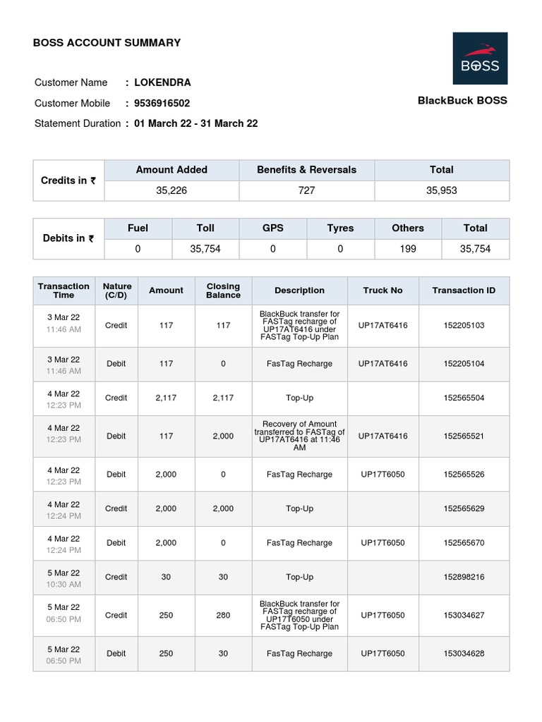 Boss Account Summary-95369165021657775411899 | PDF | Credit Card | Debits And Credits