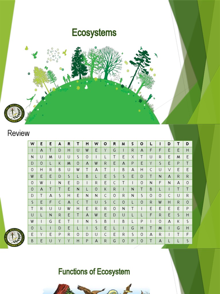 Lesson-5.2-Functions-of-Ecosystem | PDF | Food Web | Ecology