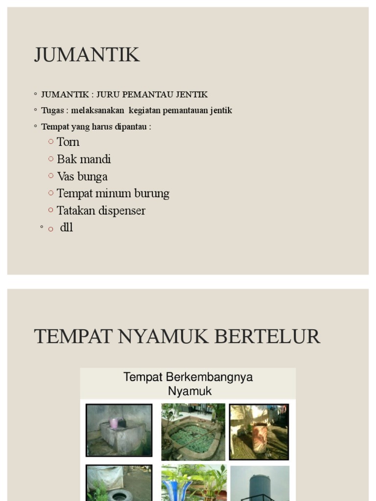 Materi Pembinaan Kader Jumantik 2021 | PDF