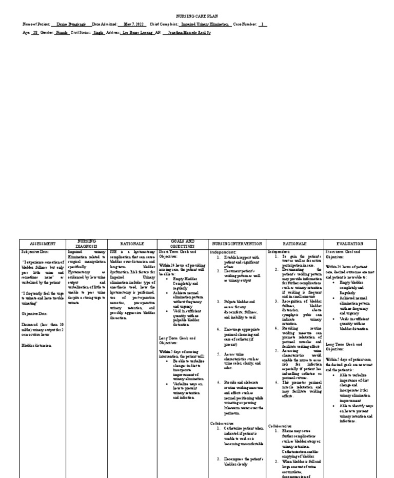 NURSING CARE PLAN - Impaired Urinary Elimination | PDF | Urinary Bladder | Urination
