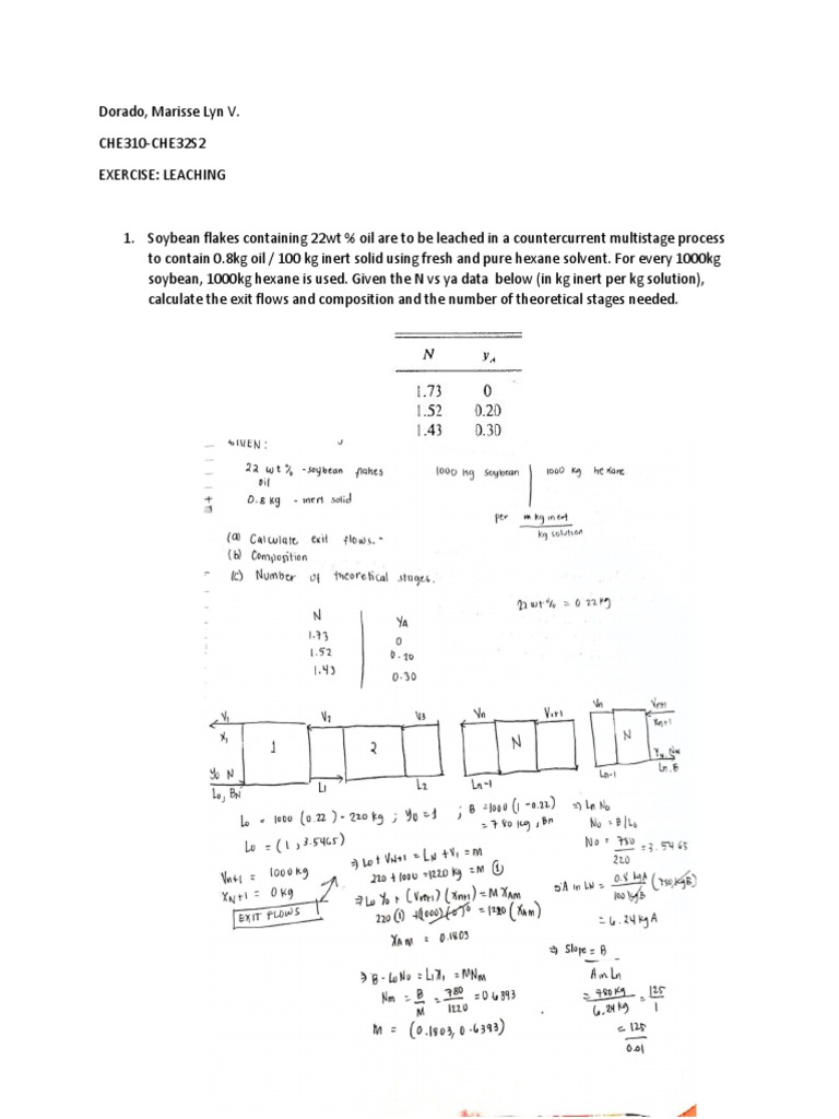 Dorado - Exercise in Leaching | PDF