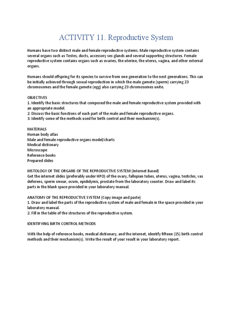 Anaphy Lab Activity 11 Reproductive | PDF | Reproductive System ...