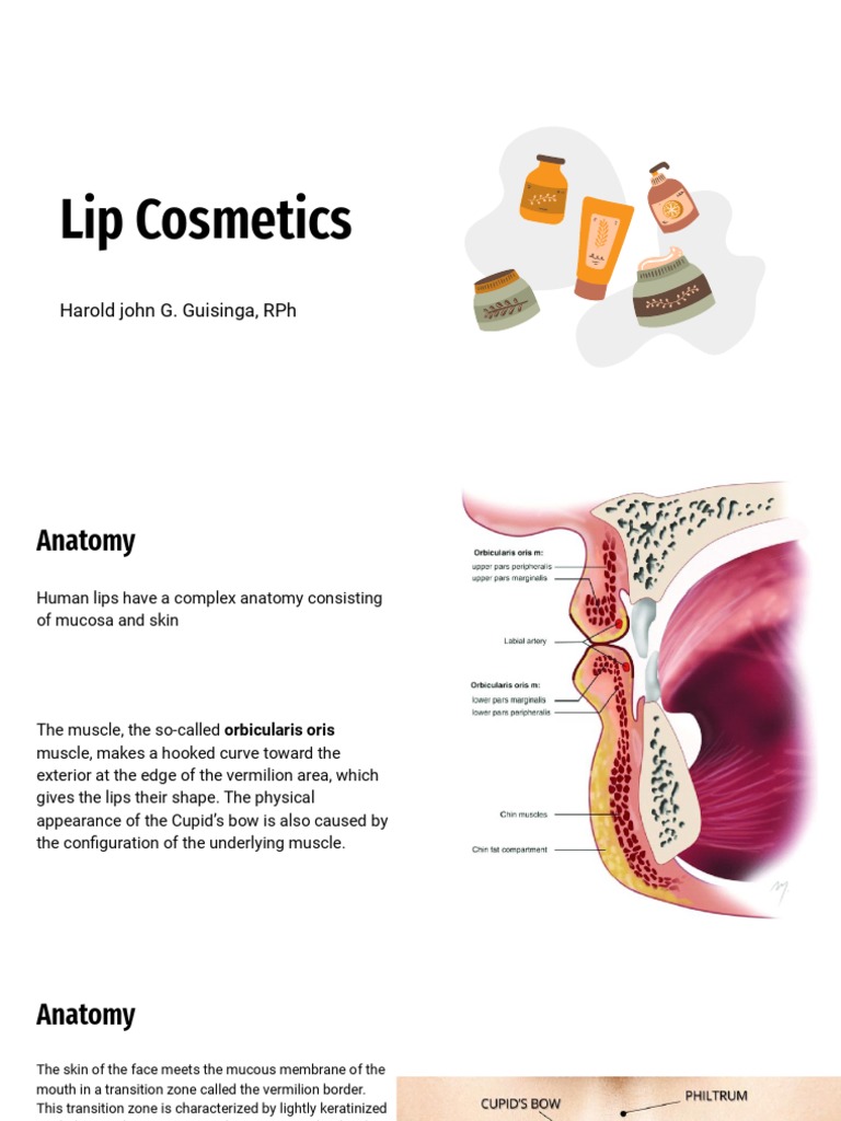 Lip Cosmetics Guide: Anatomy, History and Key Ingredients | PDF | Wax ...
