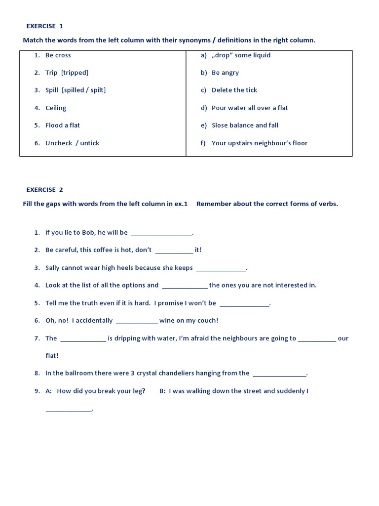 Vocabulary Exercise: Synonyms & Gaps | PDF