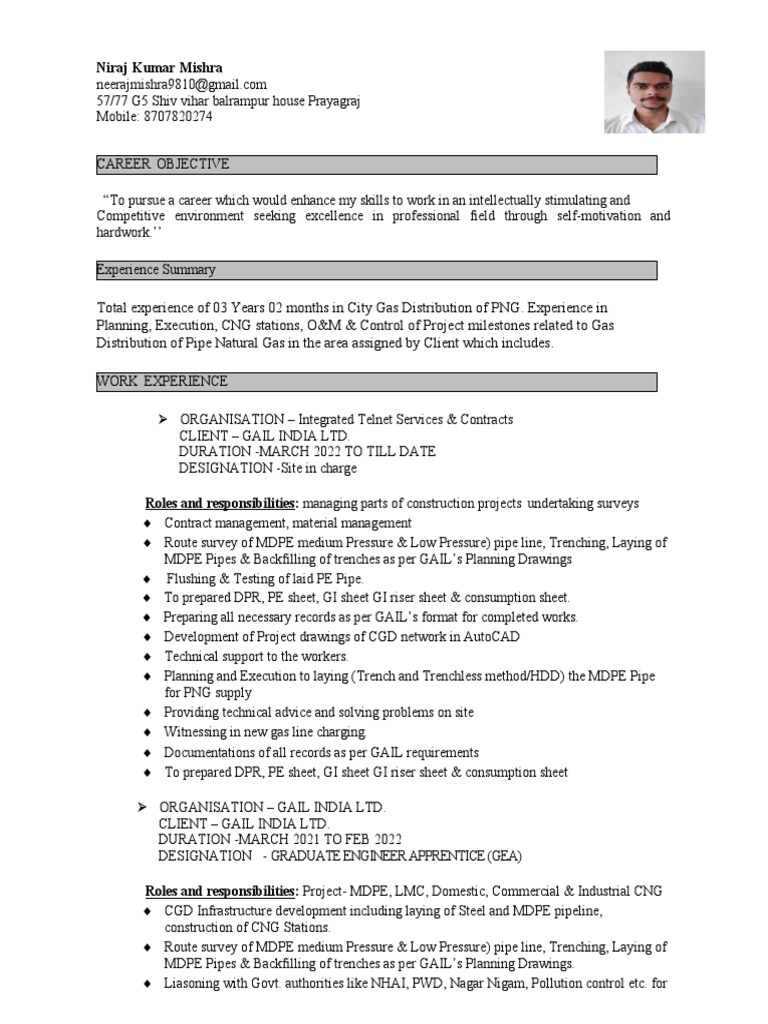 Niraj Kumar Mishra Professional Resume | PDF | Gases