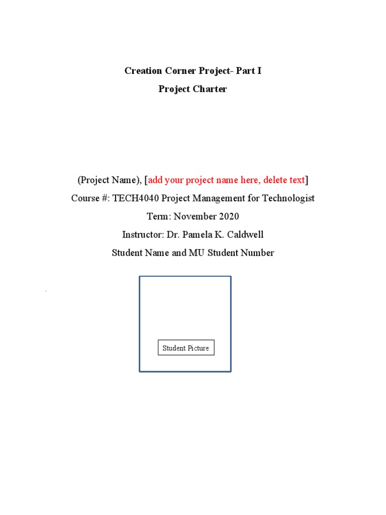 Project Charter Template Guide | PDF | Project Management | Governance