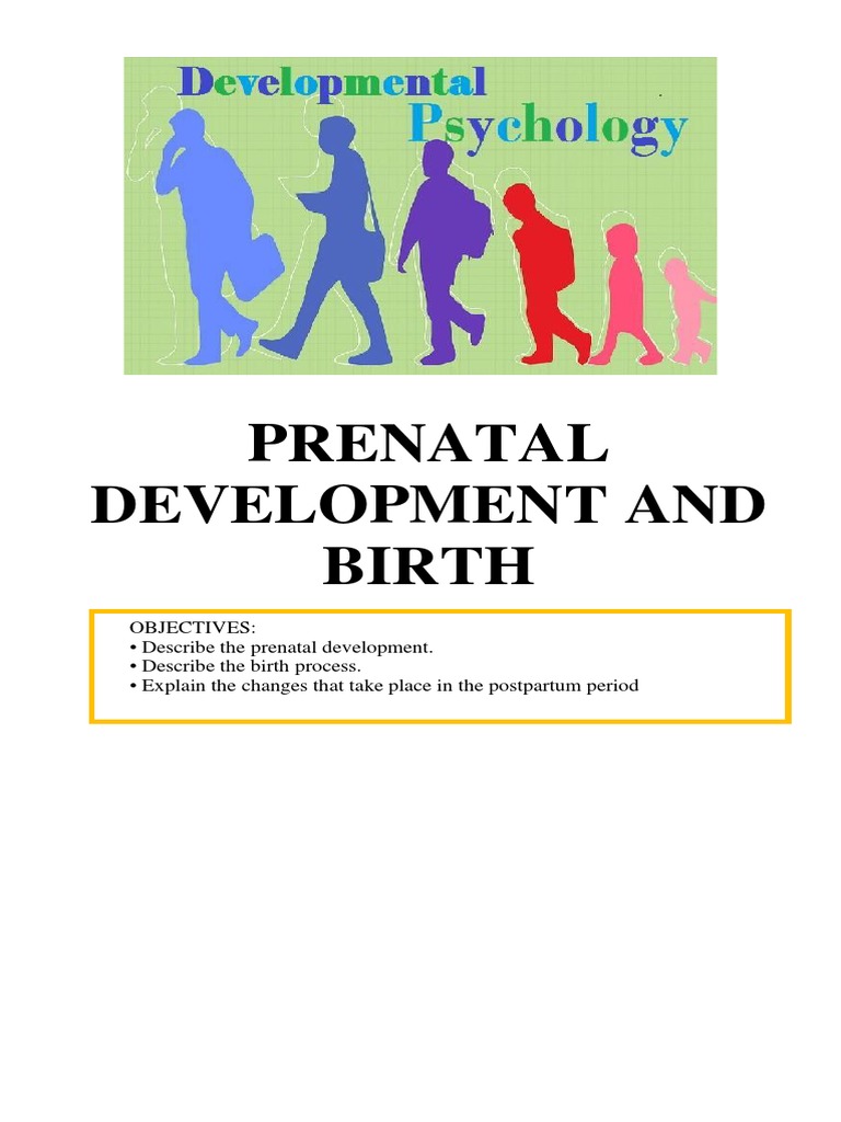 Dev Psy - Prenatal Development and Birth | Download Free PDF | Childbirth | Prenatal Development