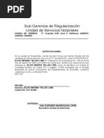 Formato Sam | PDF | Gobierno | Gobierno y personalidad