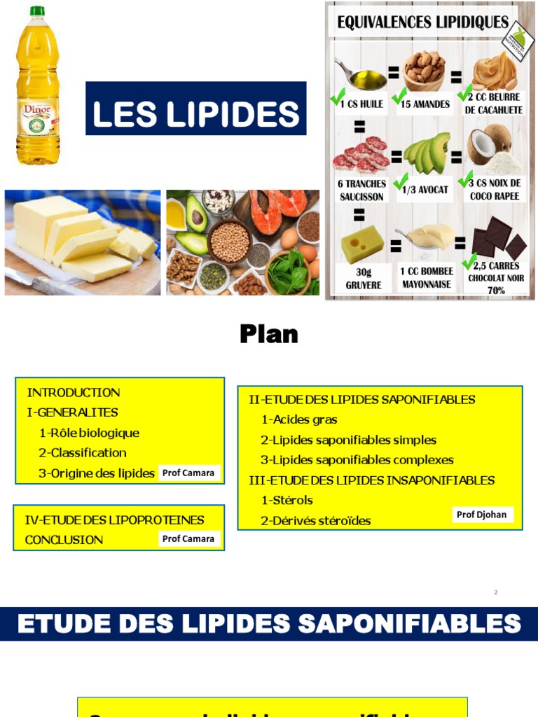LIPIDES Lipides Saponifiables Simples | PDF | Lipide | Acide gras