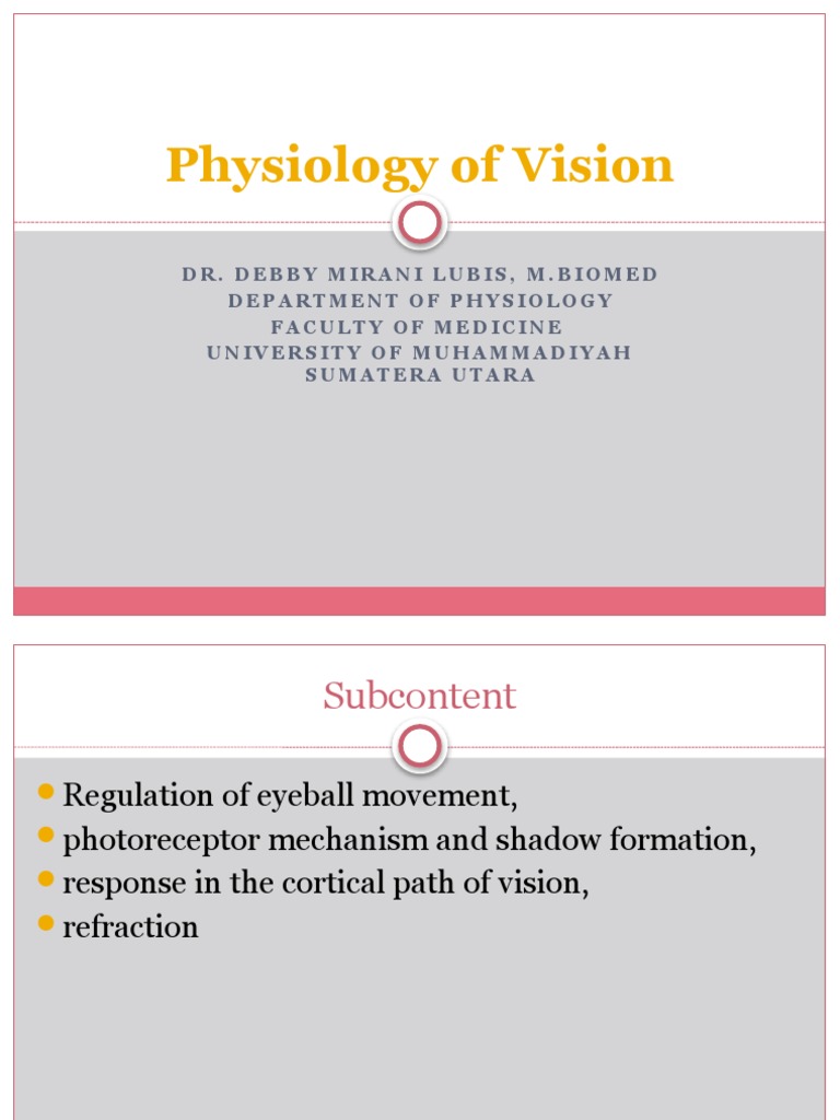 Physiology of Vision-Sem4-Special Sense | PDF | Visual System | Eye