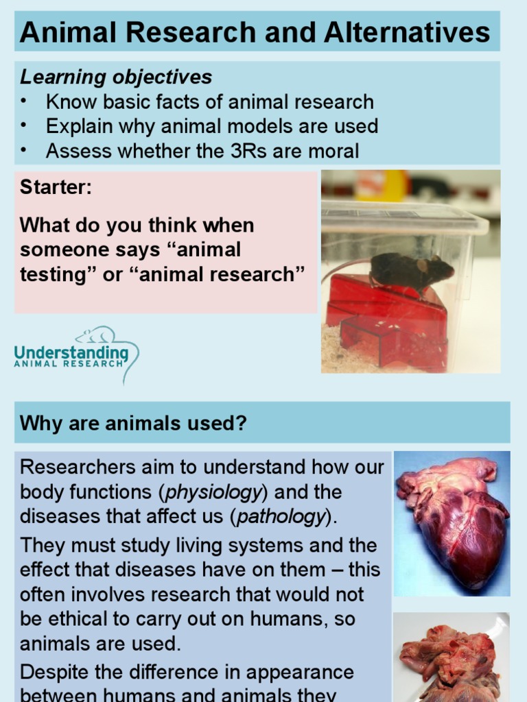 Animal Research and Alternatives Lesson | PDF | Animal Testing | Organisms