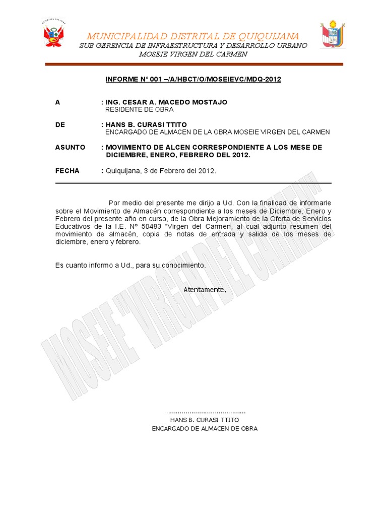 Modelo de Informe | PDF