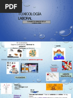 Toxicocinética y Toxicodinamia en Farmacia | PDF | Toxicidad | Excreción
