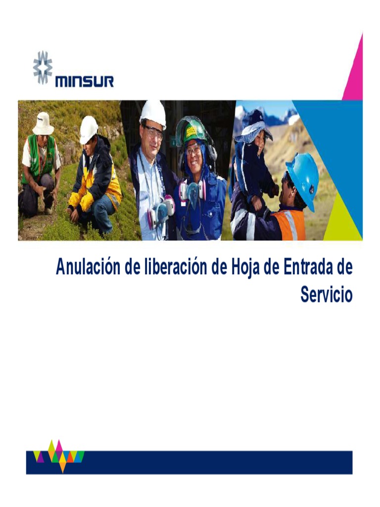 HES - 3. Anular Aprobación HES | PDF